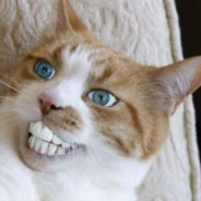 Steam Community :: Spooky