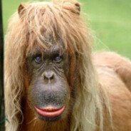 Steam Community :: Cheval-singe