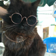 Steam Community :: 4oTkiy Koteyka