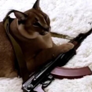 Steam Community :: Group :: FLOPPA-PEEK.