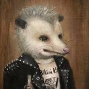 Steam Community :: Awesome opossum