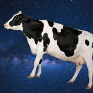 Steam Community :: moo moo man