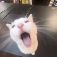 Steam Community :: Spr