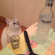 Steam Community :: Fk Boy