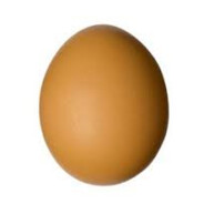 Steam Community :: da egg