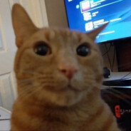 Steam Community :: Jaynx