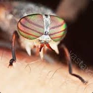 Steam Community :: A-peli