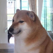 Steam Community :: _cheems_gamer_