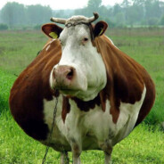 Steam Community :: Big Fat Cow