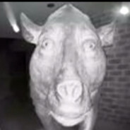 Steam Community :: Roach