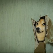 Steam Community :: Doge