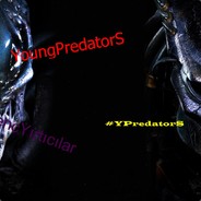 Steam Curator: Young PredatorS