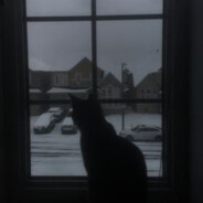 Steam Community :: karma