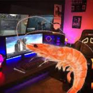 Steam Community :: Shrimp.exe