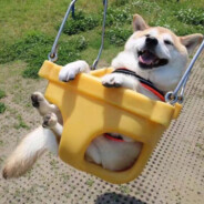 Steam Community :: Ripple