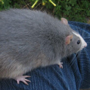 Steam Community :: yhya