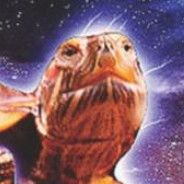 Steam Community :: Turtle of Time