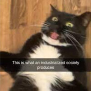 Steam Community :: Mr.Dingus