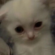 Steam Community :: bvbvbv