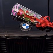 Steam Community :: Sara_Rod_