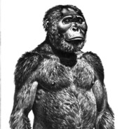 Steam Community :: AUSTRALOPITHECUS ROBUSTUS