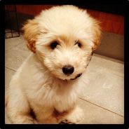 Steam Community :: Adr1anal1ne