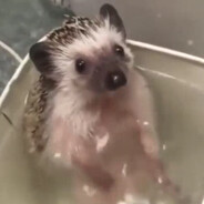 Steam Community :: tovex