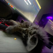 Steam Community :: pluto