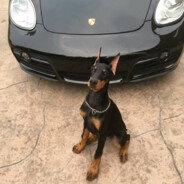 Steam Community :: Jan S > Genuine Alyx Pins