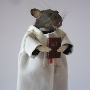 Steam Community :: Squirrel Dealer