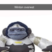 Steam Community :: winton overwat