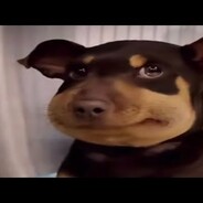 Steam Community :: Group :: FiggleBottom