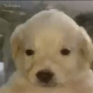 Steam Community :: Apoco si tilin