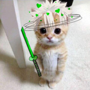 Steam Community :: sanemi cat