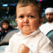 Steam Community :: HasBik