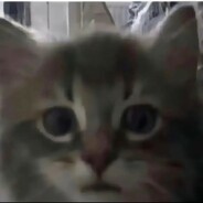 Steam Community :: Group :: EMOLOAICE LOVER