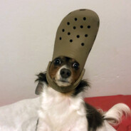 Steam Community :: i stunned u's Ekitten