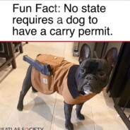 Steam Community :: 12k hours