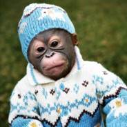 Steam Community :: Affe