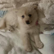 Steam Community :: Tweaken.