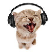 Meth Helper Updated - ModWorkshop