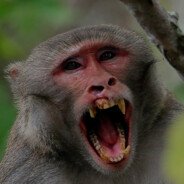 Steam Community :: Agent_monkey