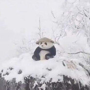 Steam Community :: morms