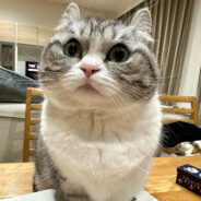 Steam Community :: --poopsik