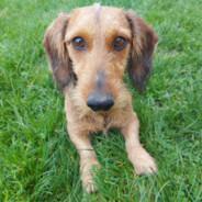 Steam Community :: :D