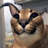 Steam Community :: Group :: official big floppa