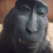 Steam Community :: Monke