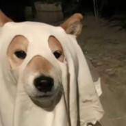 Steam Community :: Emren