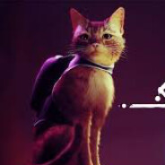 Steam Community :: Hayden Gamer