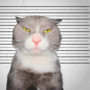 Steam Community :: Hurglet